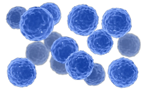 Los beneficios de Enterogermina | ¿Por qué probarla?