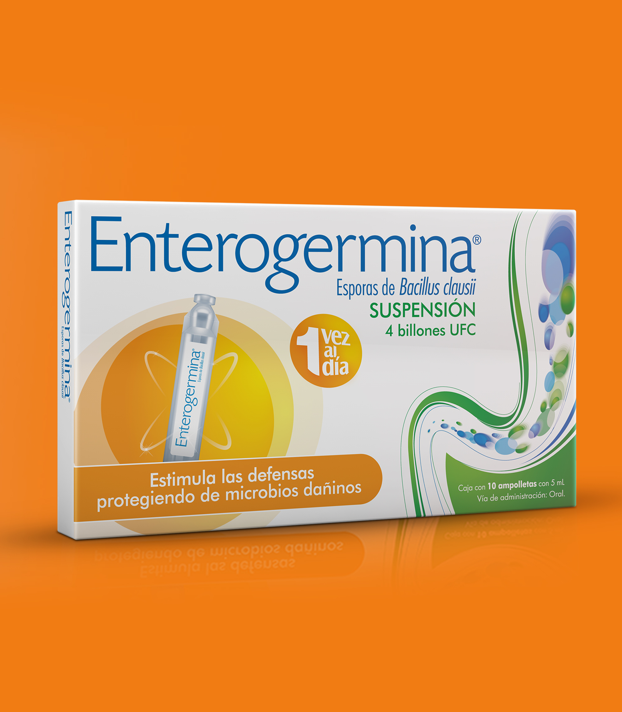 Enterogermina 4B Restaura Tu Flora Intestinal