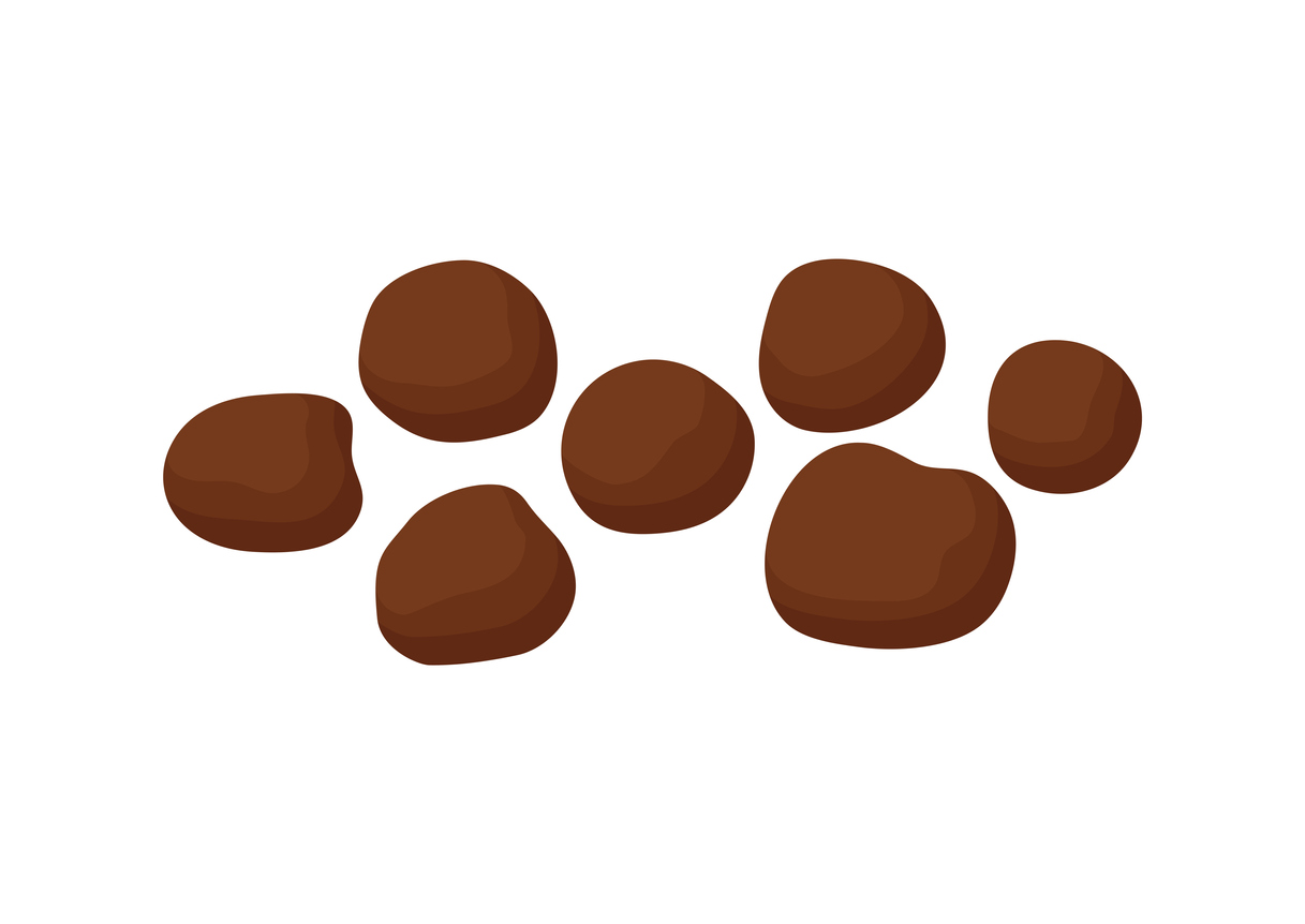 Escala de Bristol: 7 tipos de cocô e o que dizem sobre sua saúde