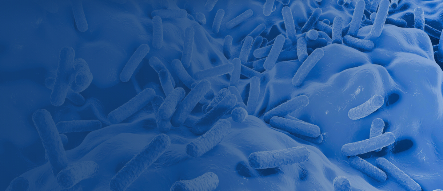 Intestine: Understanding the Digestion Process | Enterogermina®